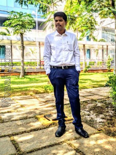 Telugu Brahmin Niyogi Aruvela Hindu 26 Years Groom/Boy Chennai ...